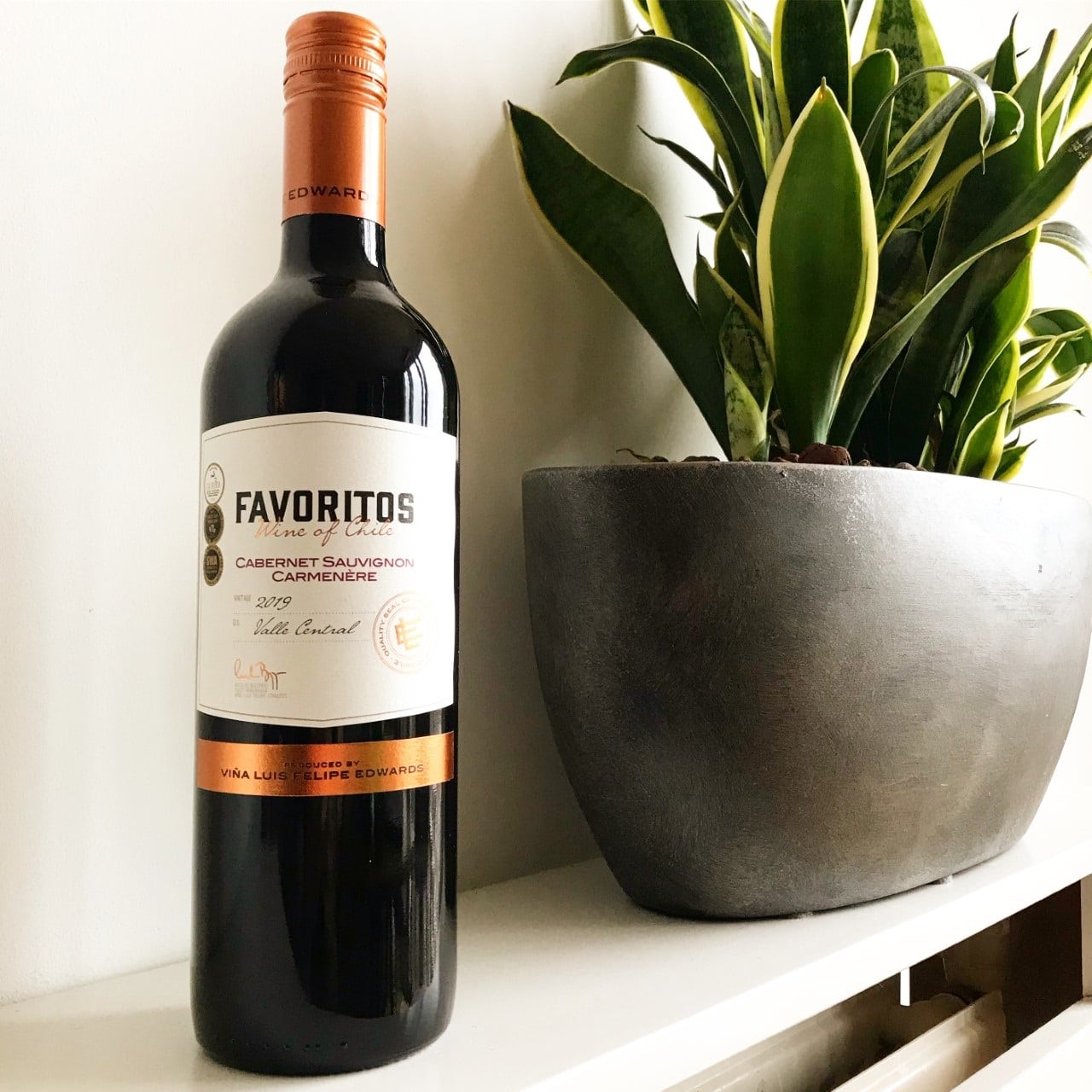 Herfstvibes: 5 lekkere én betaalbare rode wijnen! - Gewoon wat een ...